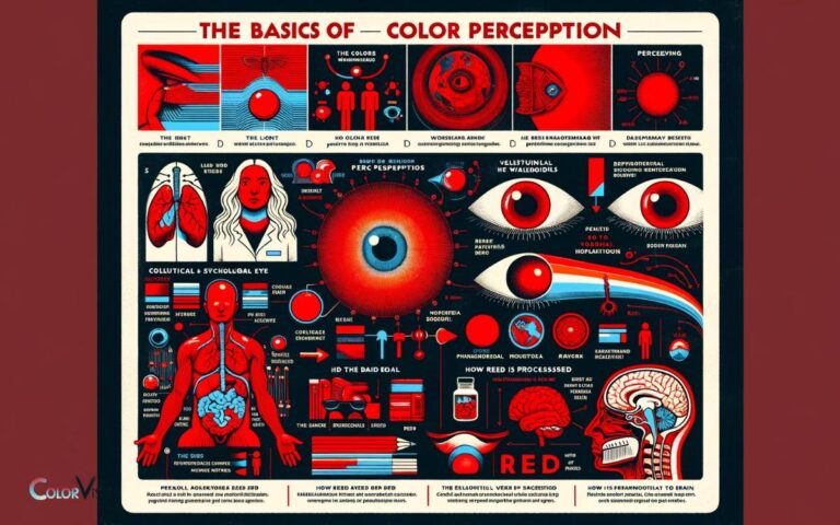 How Do We See The Color Red? Wavelengths!