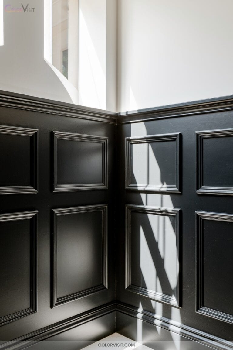 12 Classic Painted Wainscoting Ideas Color Schemes For Character