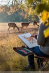 20 Inspiring Color Pencil Drawing Ideas For Artists Of All Levels